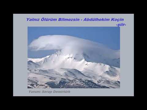 ABDÜLHEKİM KOÇİN - YALNIZ ÖLÜRÜM BİLMEZSİN  -şiir-  Yorum: Serap Demirtürk
