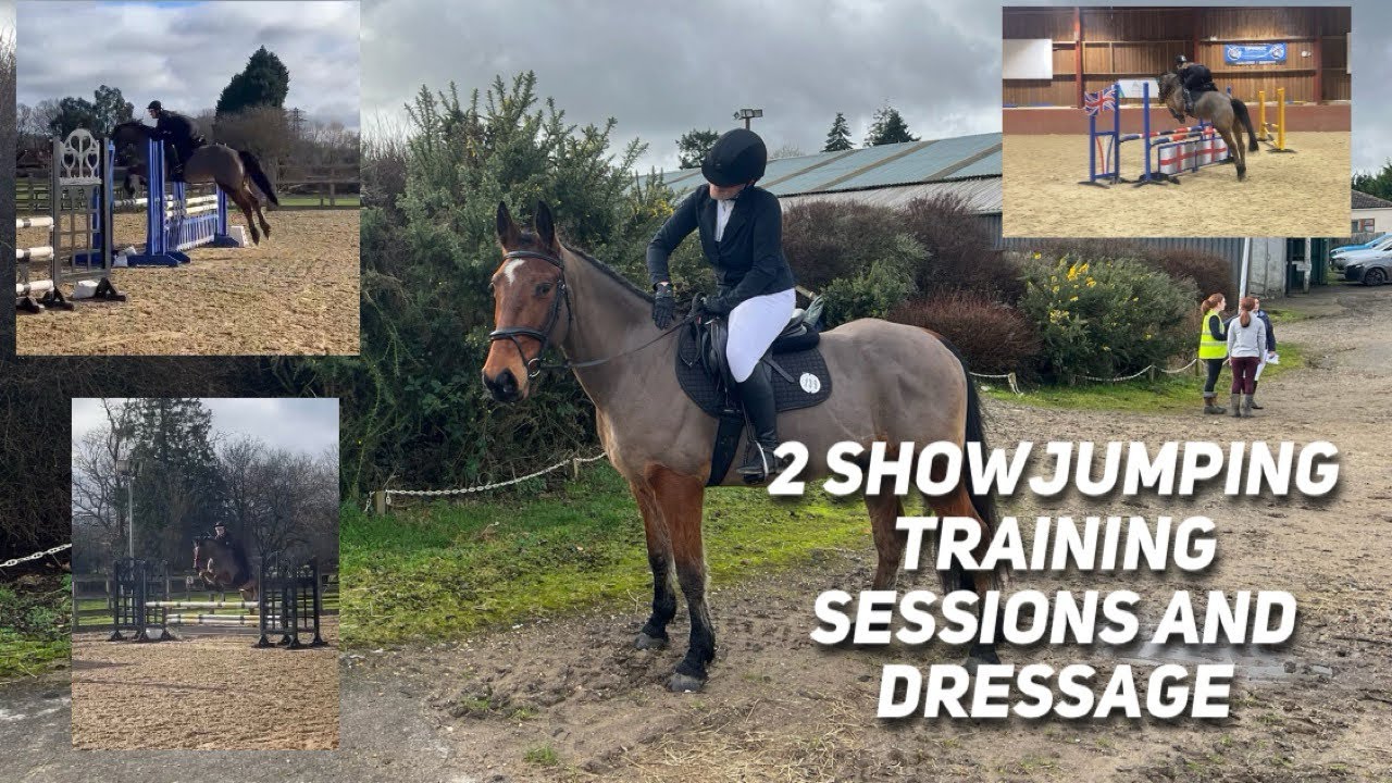 2 showjumping training sessions and a dressage competition| ponybonkers ...