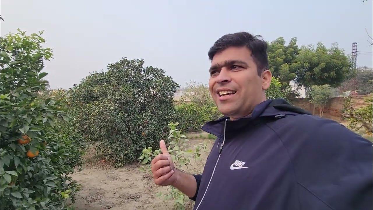 Saqi Bhai Nay Orrange K Baag Ka Sooda Kar Liya - YouTube