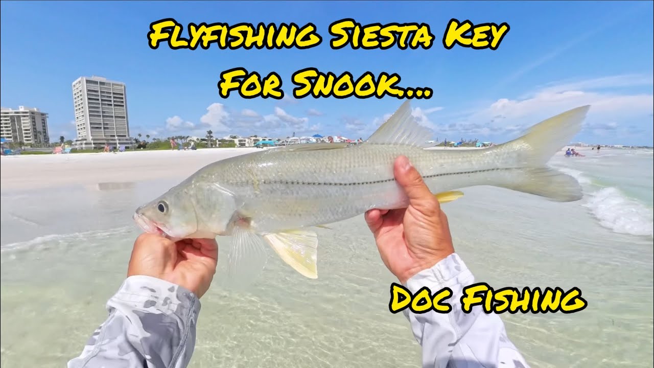 Flyfishing Siesta Key for Snook - YouTube