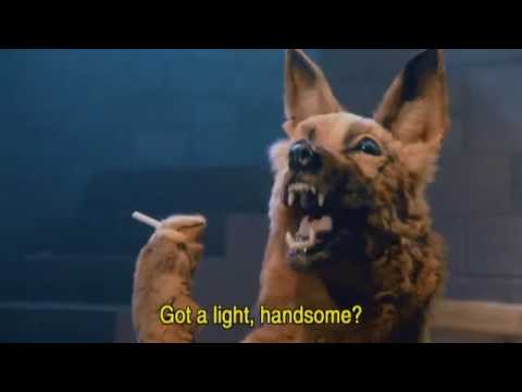 Hitler's dog - YouTube