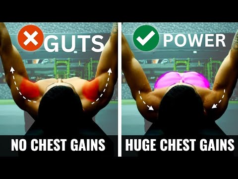 HUGE CHEST WORKOUT AT GYM | @THE GYM | GUTS POWER | - YouTube