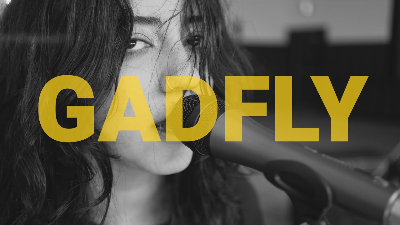 Gadfly // STANDARDS Field Sessions - YouTube
