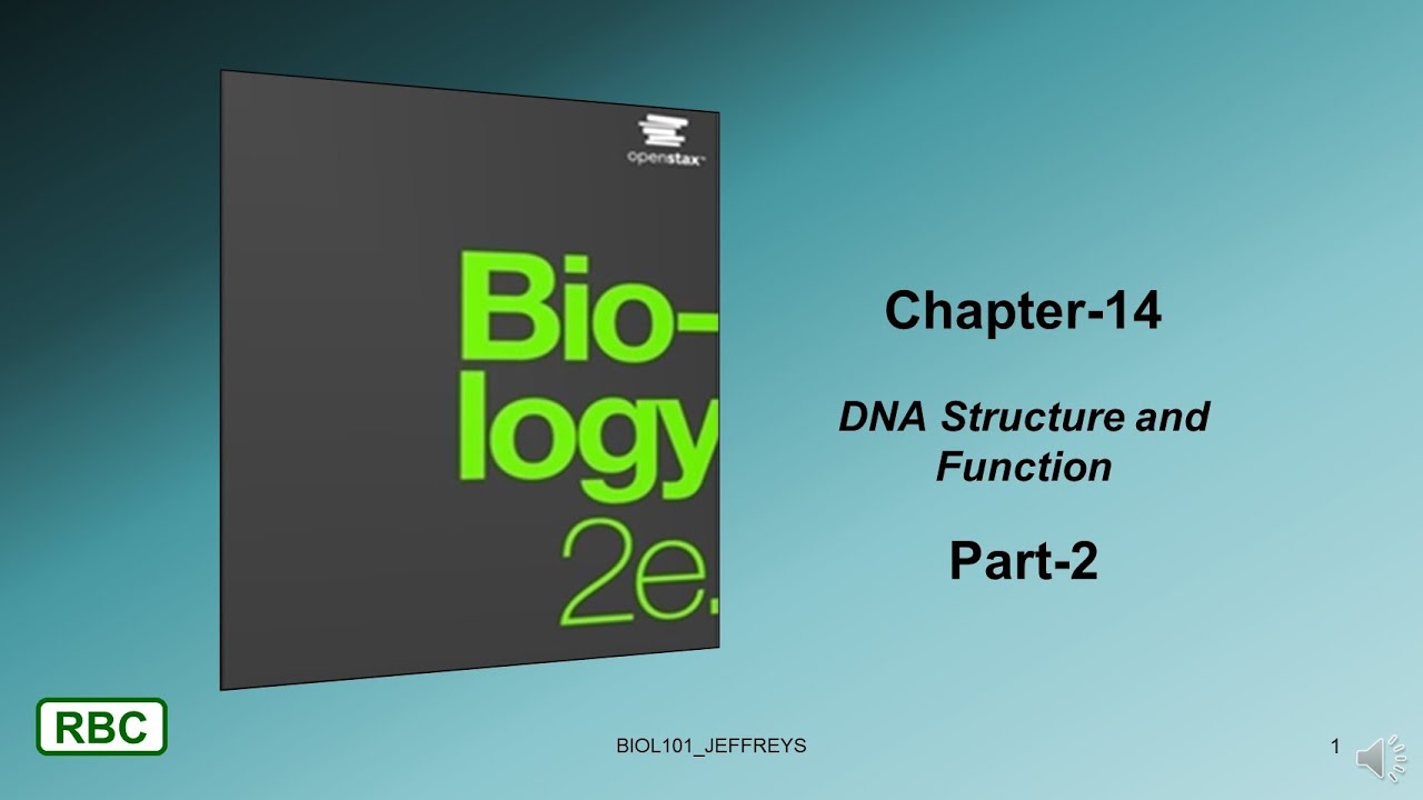 Chapter-14: DNA STRUCTURE AND FUNCTION (Part-2) - YouTube
