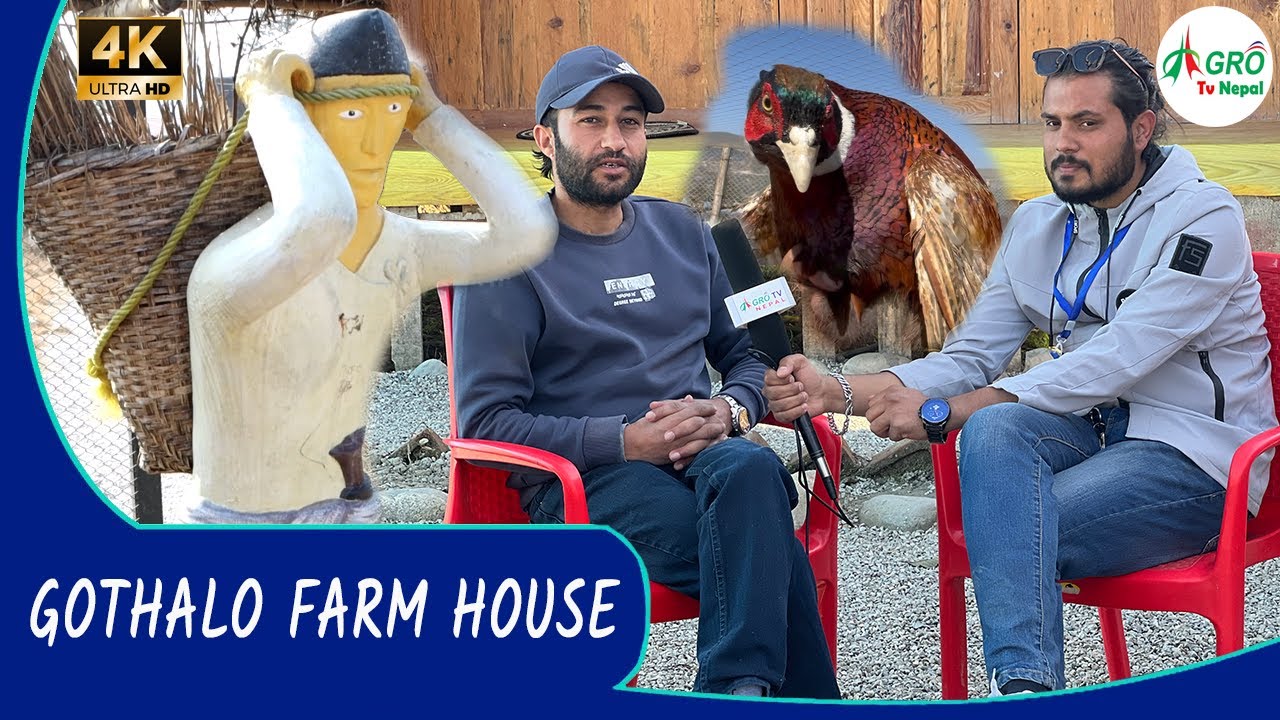 बैंकको जागिर छाडेर किन गोठालो बने विनोद ? GOTHALO FARM HOUSE -THALI ...