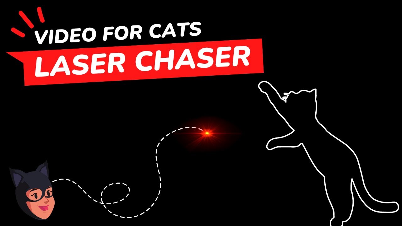 LASER CHASER Cat Game for Cats! - YouTube