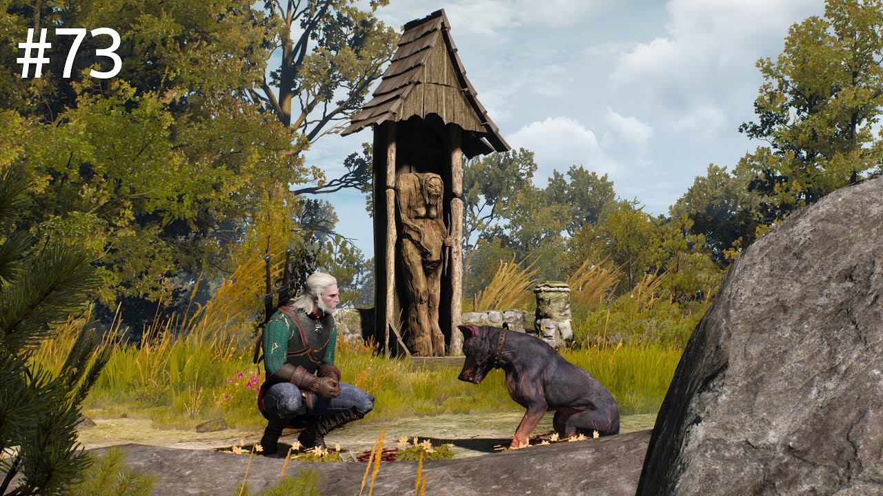 The Witcher 3 : Wild Hunt - "A DOG'S LIFE" - Part 73 - YouTube