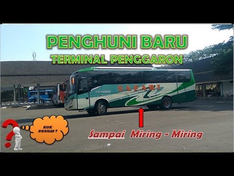 Kesibukan Bus AKDP di Terminal Penggaron Setelah di Tutupnya Terminal ...