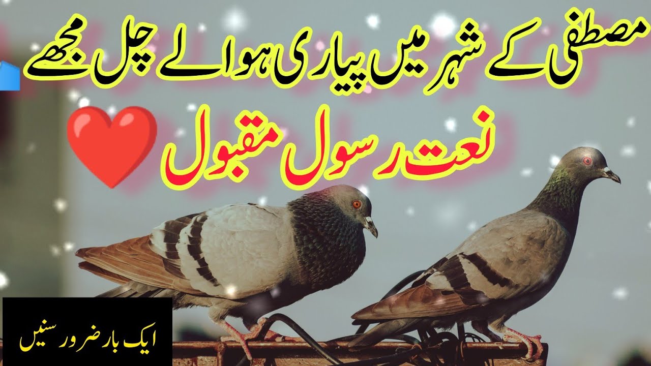 Taiba taiba new naat (طیبہ طیبہ)with lyrics by Shah Jahan | Mustafa k ...