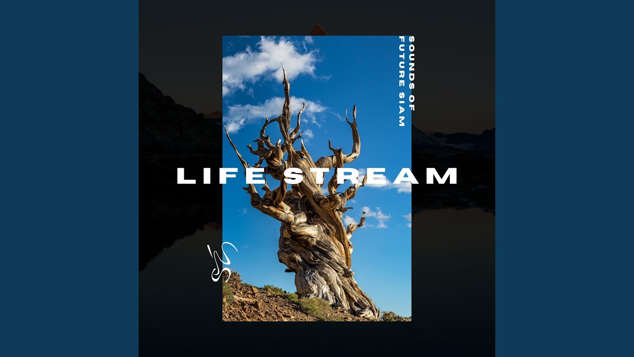 Life Stream - YouTube