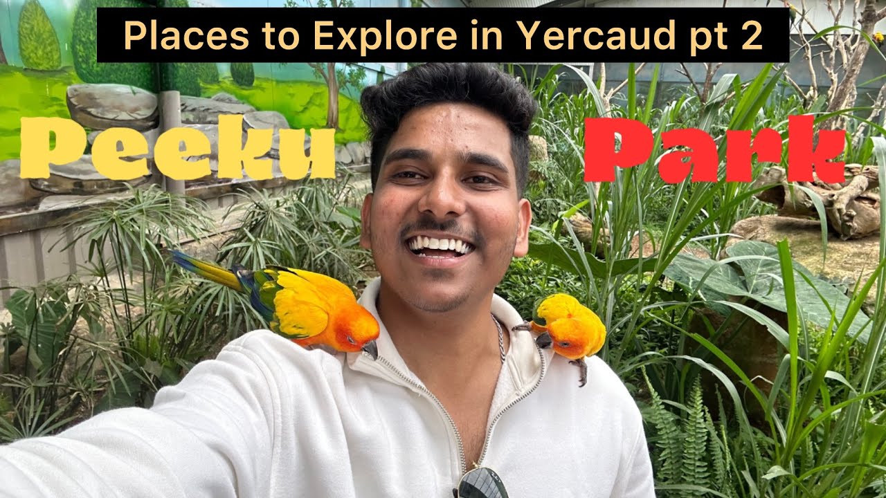 Places to explore in Yercaud Pt 2 | Peeku Park | Pagoda Point #yercaud ...