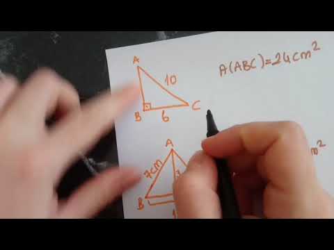 6.Sınıf Üçgende Yükseklik ve Alan Bulma