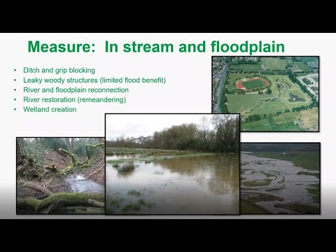 Environment Agency - Natural Flood Management in Dorset - YouTube