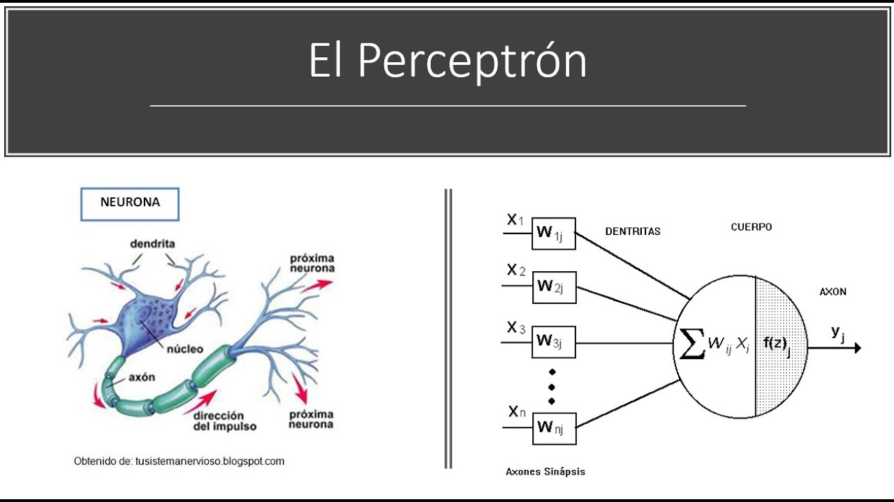 Los Perceptrones: Aprendizaje Automático (Parte-II-A) - YouTube
