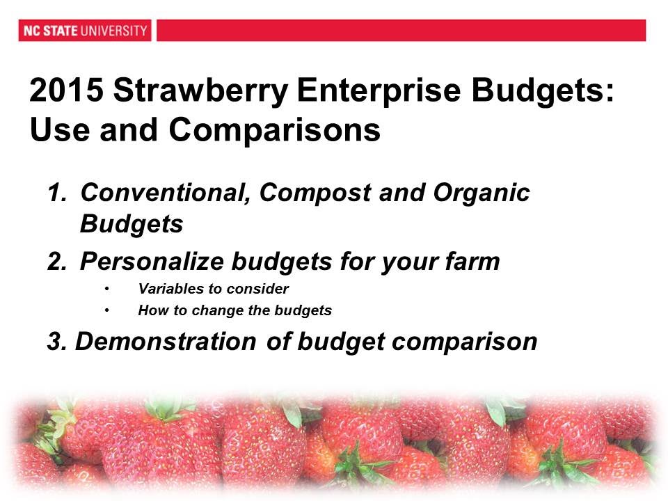2015 SE Strawberry Enterprise Budgets Tutorial - YouTube