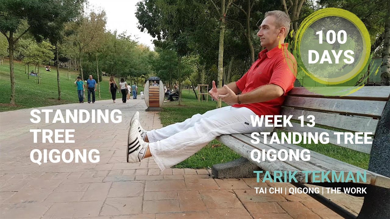 Standing Tree Qigong Week 13/15 Standing Tree Qigong - YouTube