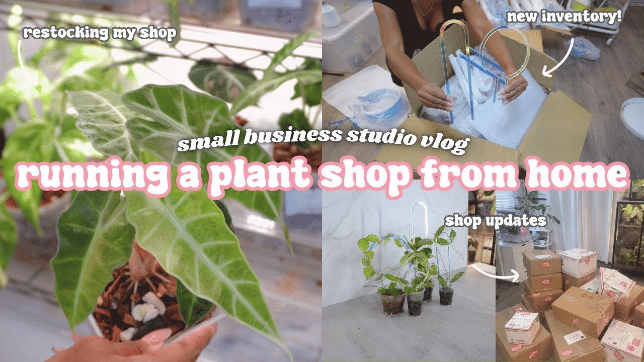Running a Plant Store From Home Vlog🪴:Plant Chores,New PlantTrellises ...