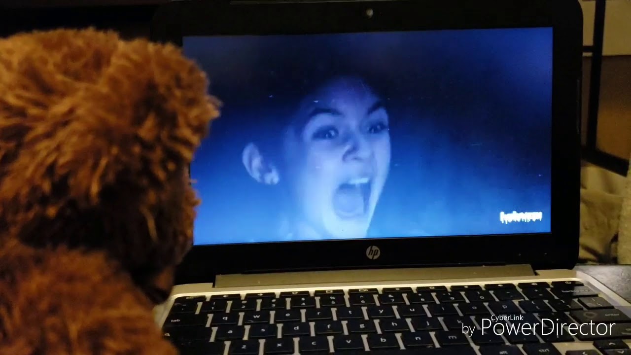 Cody and Penny react to huluween film fest the gillymuck - YouTube
