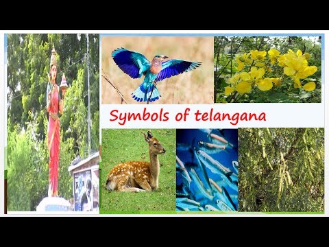 Symbols of Telangana - YouTube