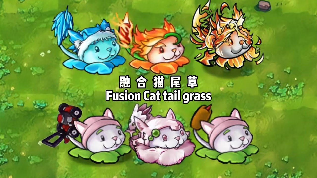 PvZ Fusion -Six kinds of cat tail grass- 植物大战僵尸融合版六种不同的猫尾草 #pvz - YouTube