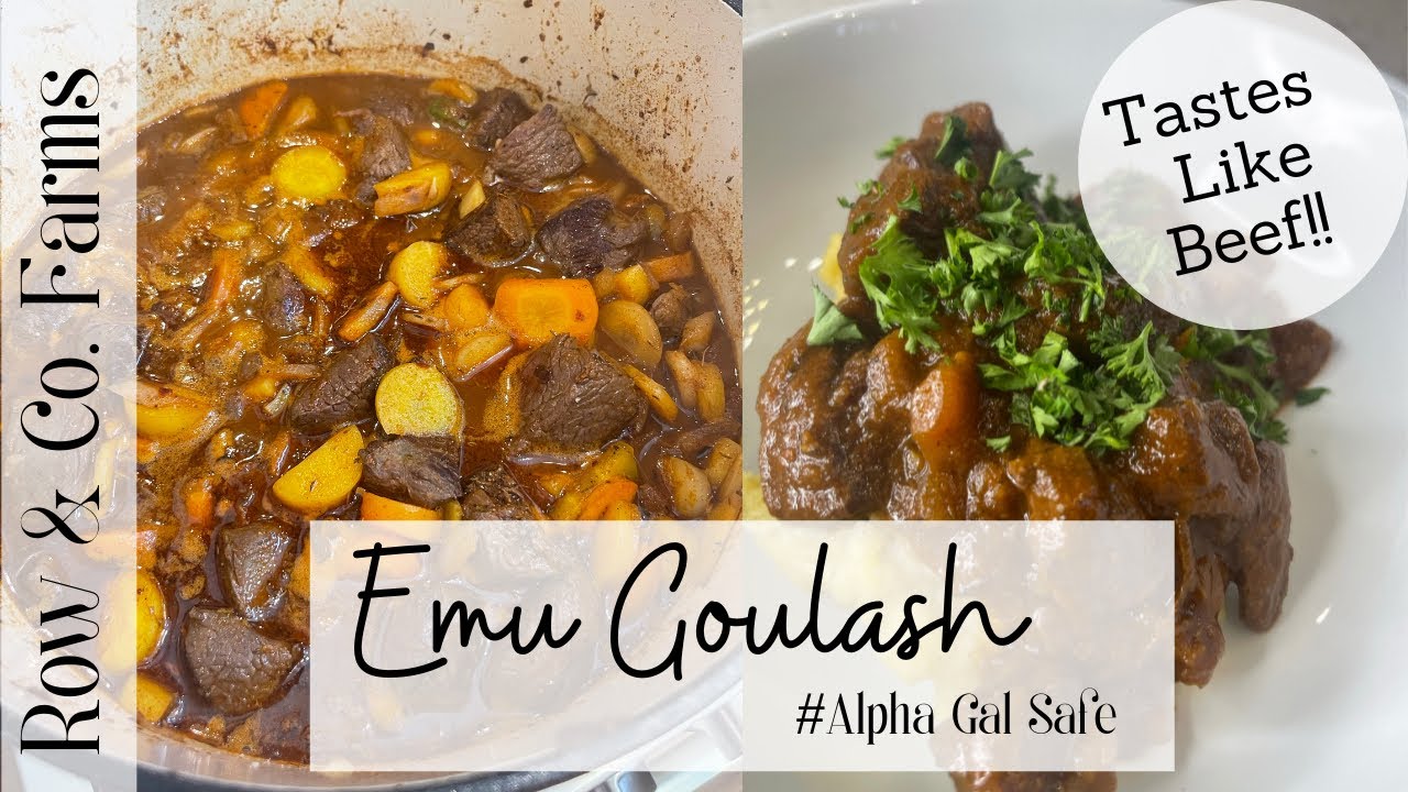 Homestead Meal Emu Goulash | Cook with Me |AlphaGal Safe Eating - YouTube