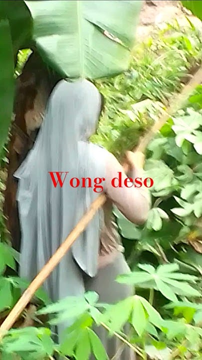 Wong deso - YouTube