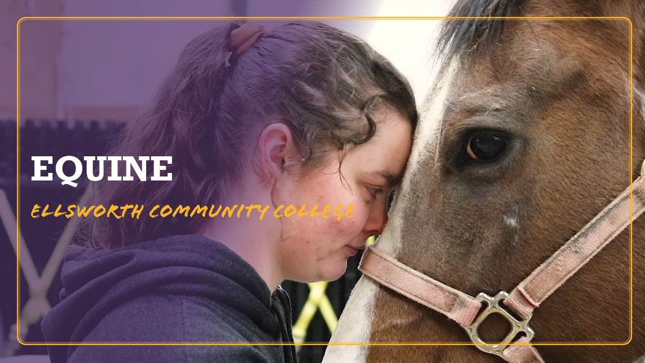 Welcome to Equine!//Ellsworth Community College - YouTube