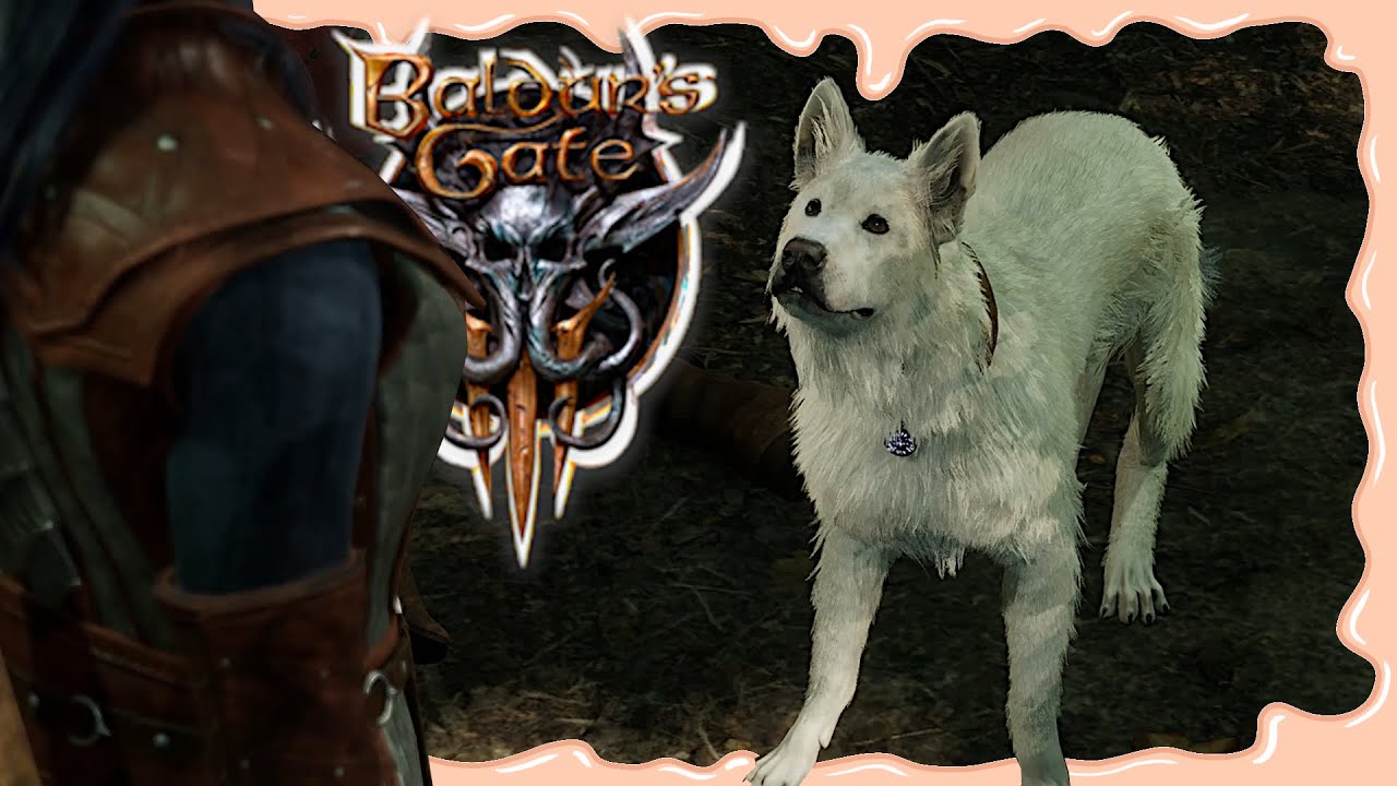 🍑 Scratch the Dog New Look 😍🐶/ Baldur's Gate 3 Patch 5 letsplay ep.10🍩 ...