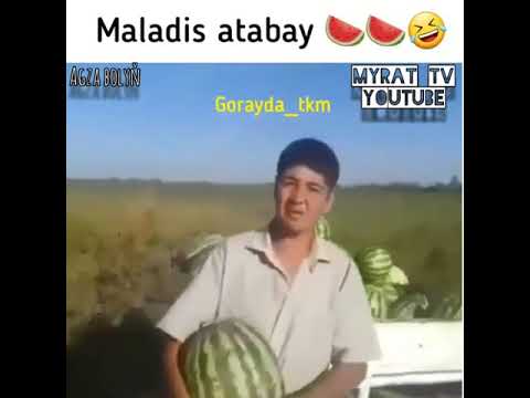 TM prikol 2