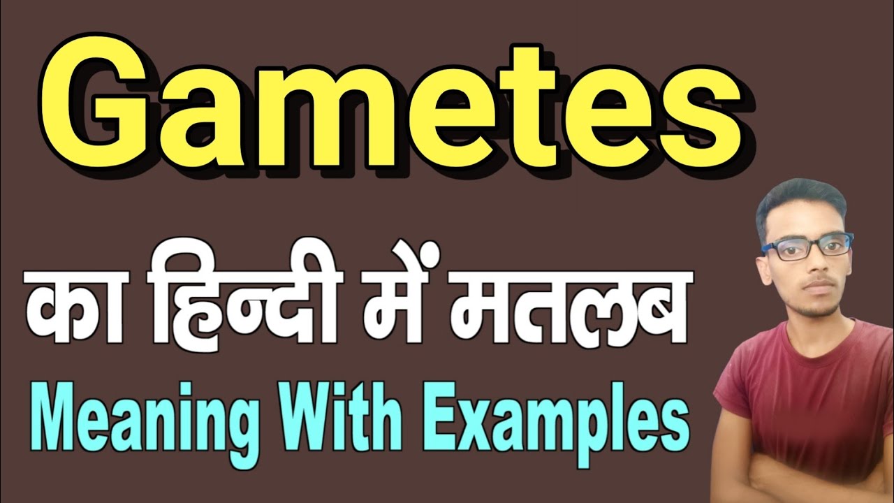 Gametes Meaning In Hindi Gametes Ka Matlab Kya Hota Hai Daily Use gametes-meaning-in-hindi-gametes-ka-matlab-kya-hota-hai-daily-use