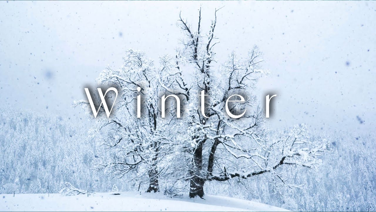 Relaxing Winter Scenery and Piano Music | Soothing Music | Snow Falling ...