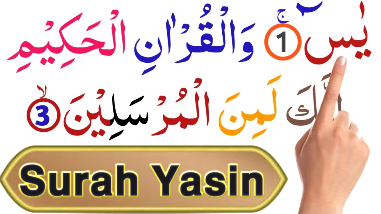 Learn To Read Surah Yaseen First Ruko | surah yasin | surah yaseen ...