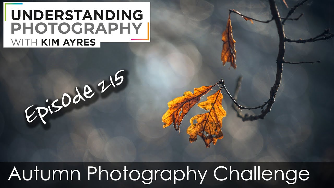Autumn/Fall Photo Challenge - Episode 215 of Understanding Photography ...