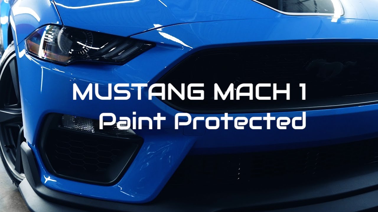 MACH1 MUSTANG PAINT PROTECTED | Menard Premium Detailing - YouTube