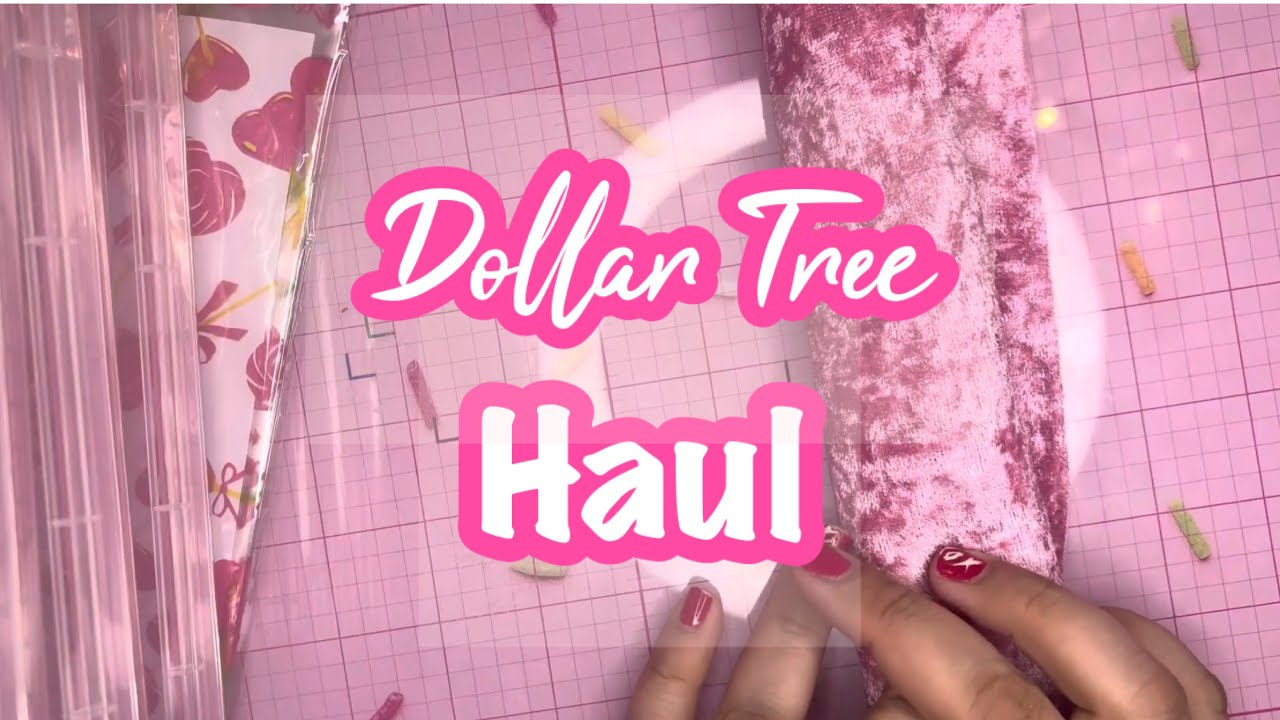Small Dollar Tree Haul - YouTube