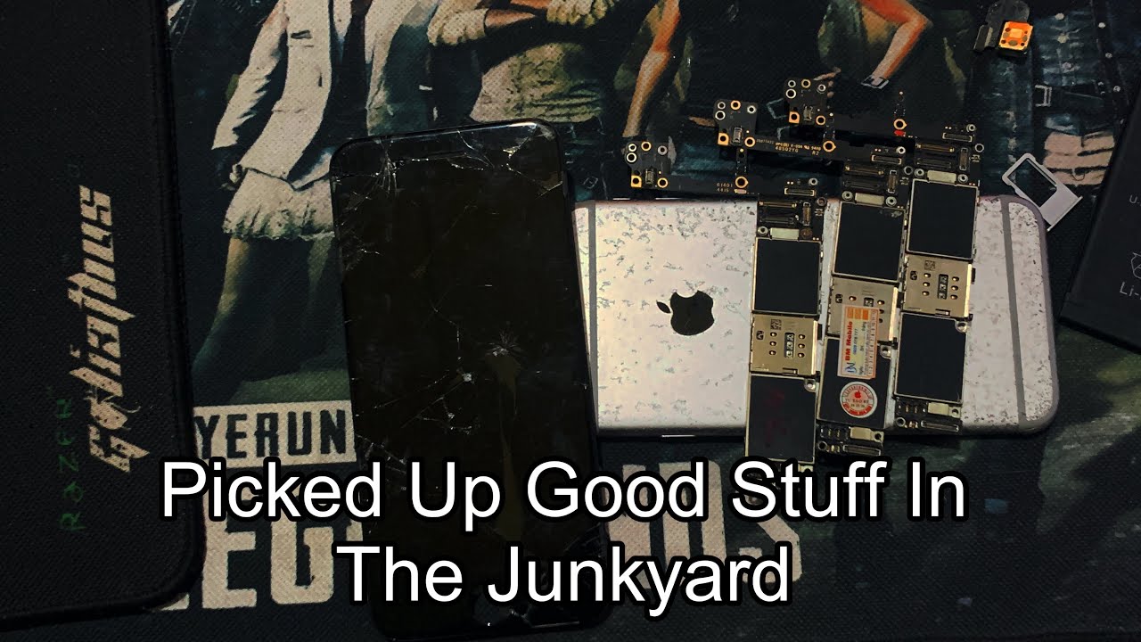 Pick Up Delicious Stuff In The Scrapyard And Get A Whole Day Of Food ...
