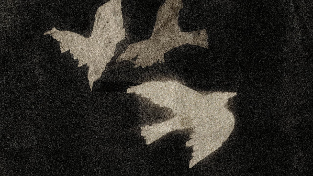 Kitchen - Crows In Velvet - YouTube