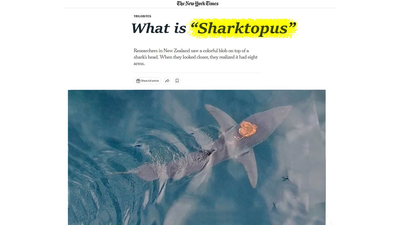 Behind the story of "Sharktopus" - YouTube