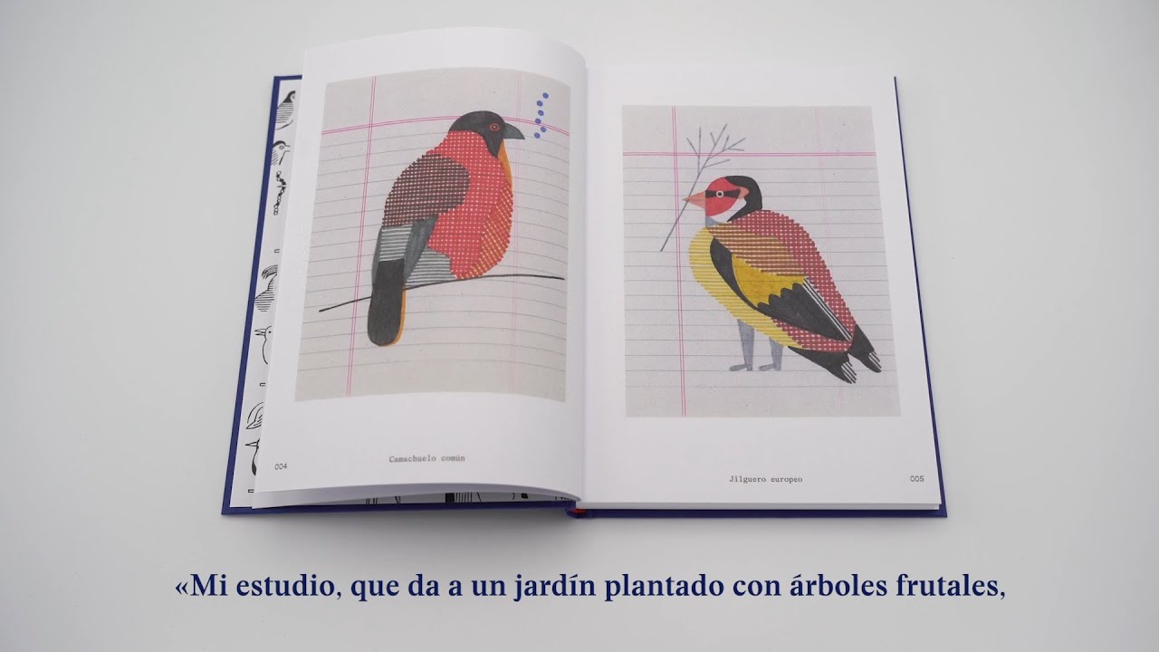 "Pájaros", de Jochen Gerner - YouTube