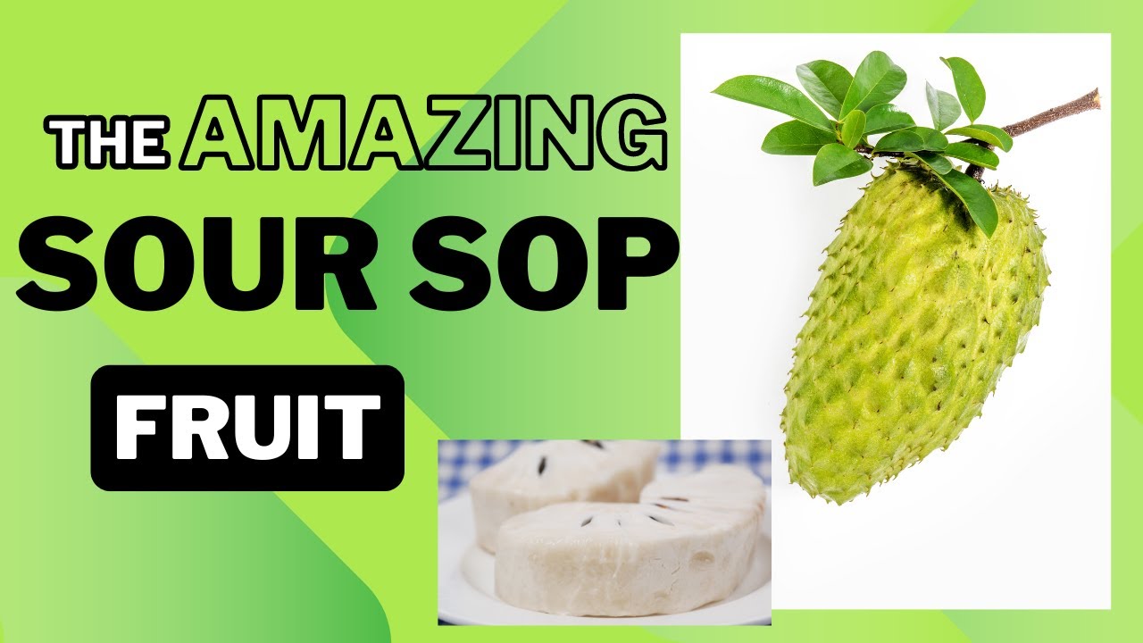Discover the Amazing Benefits of SOUR SOP ! - YouTube