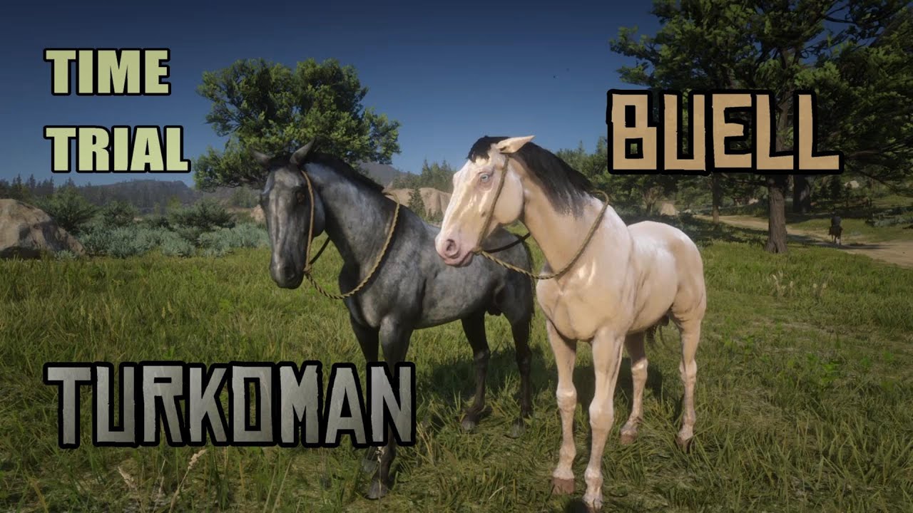 Buell vs Turkoman Time Trial : Red Dead Redemption 2 - YouTube