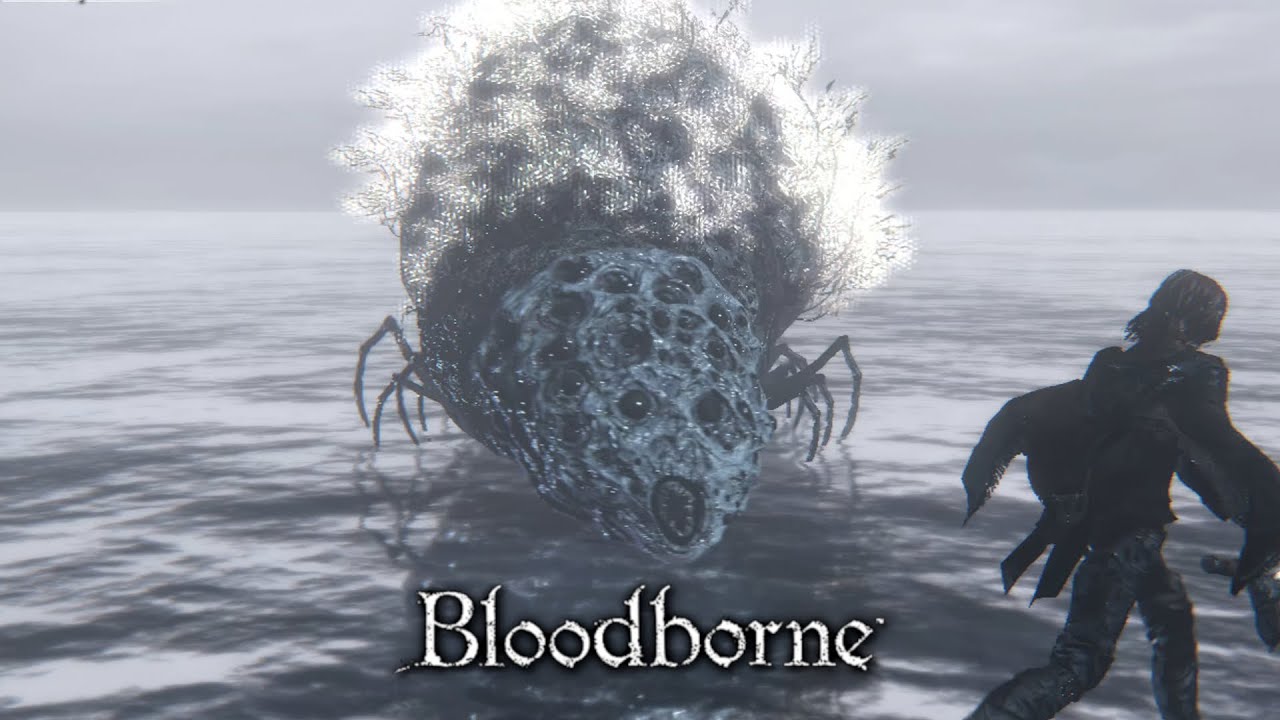 Bloodborne: Rom, the Vacuous Spider [BL4, No Hit] - YouTube