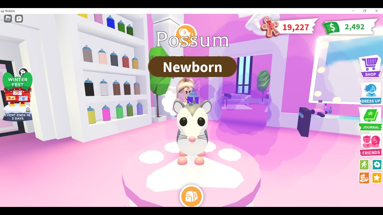 Different spray paint ideas for your pets (adopt me) part 2 - YouTube