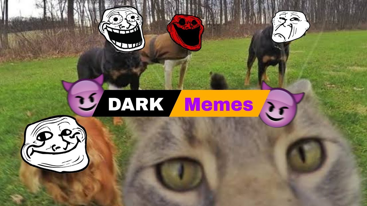 7 inch ka hai 🍌💀🤣 *Dark Memes* - YouTube