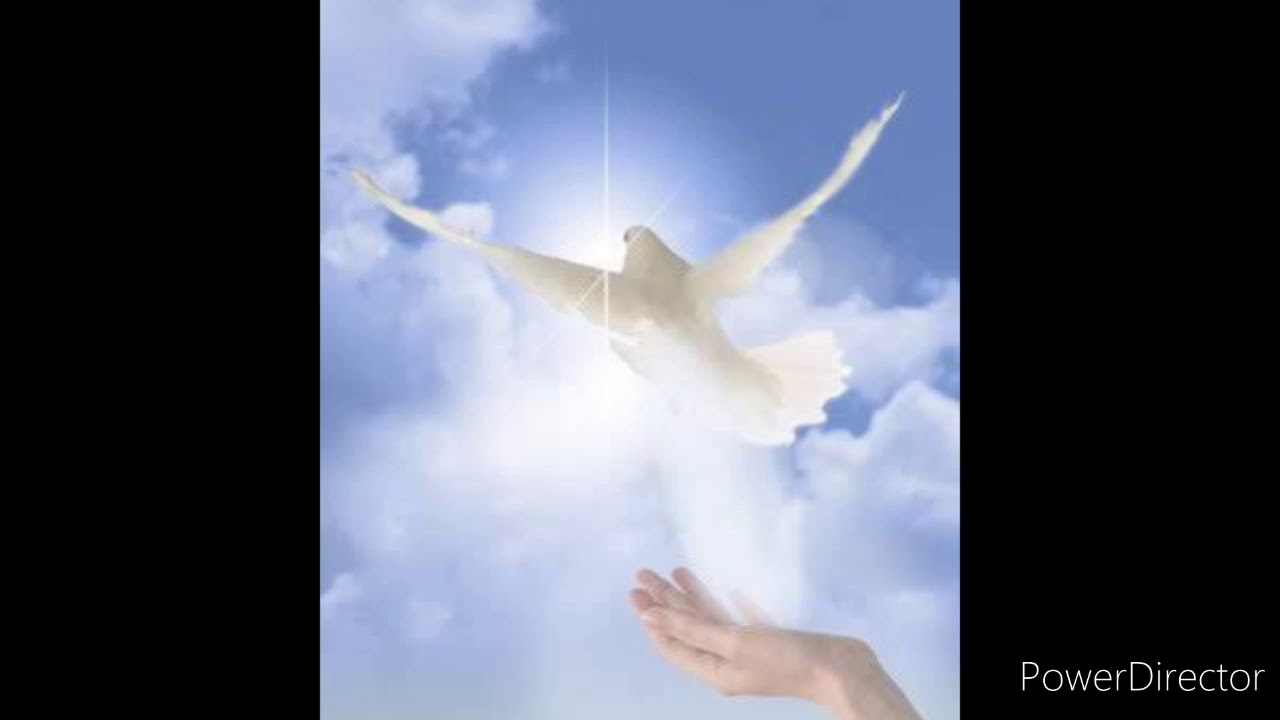 Non Jamais Tout Seul Full Adoration YouTube non-jamais-tout-seul-full-adoration-youtube