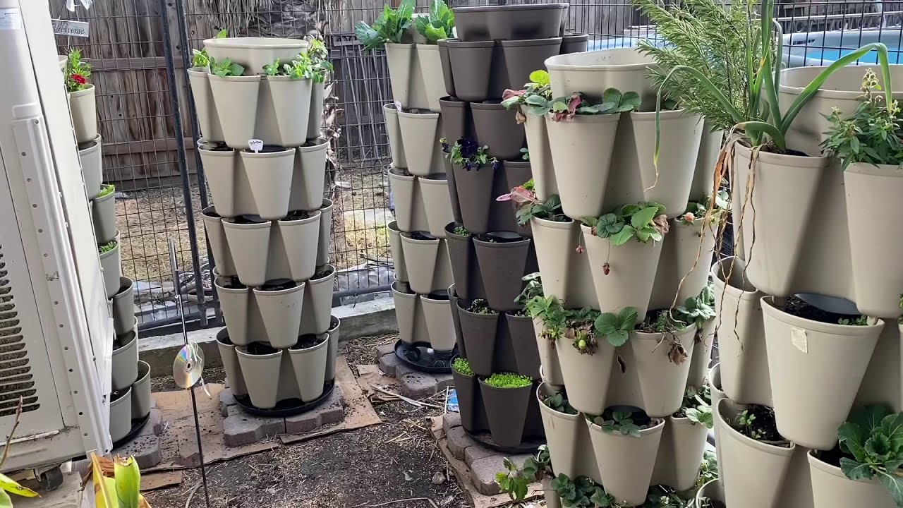 February garden tour (Week 1) | using Green Stalk Garden Towers - YouTube