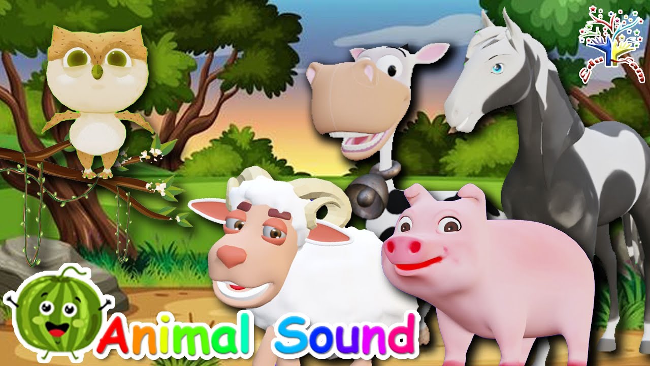 Animal Sound Song || What Sound Does The Animals Make? AM8 || EduFam # ...