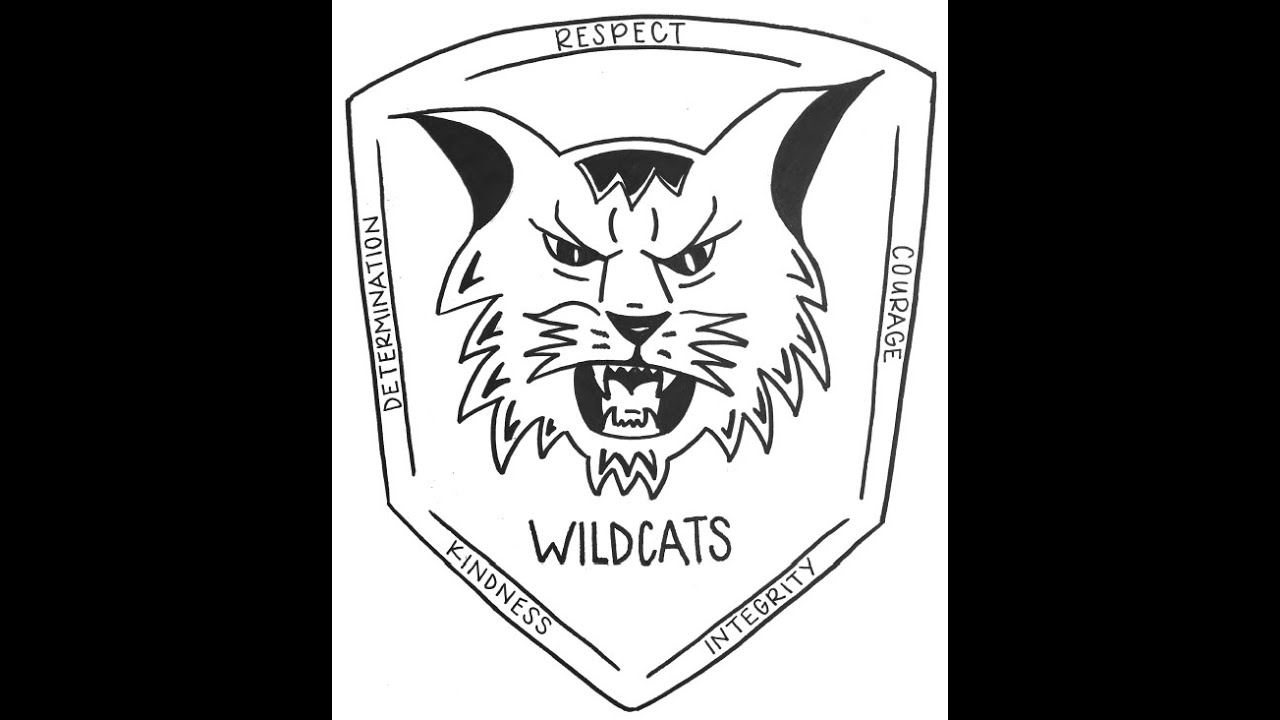 Wildcats Introduction 2020 2021 - YouTube