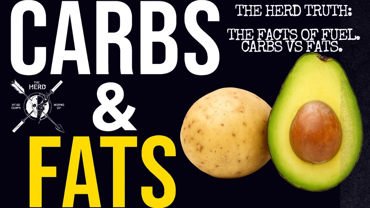 The facts of fuel. Carbs vs Fats. - YouTube