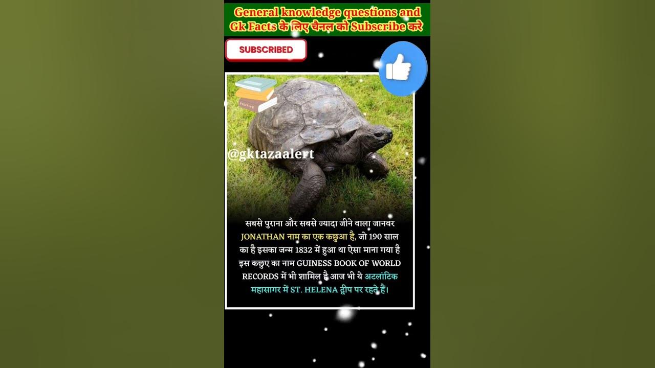 Short Video Gk Facts In Hindi 2023 gkfacts gkfact gk gkinhindi short-video-gk-facts-in-hindi-2023-gkfacts-gkfact-gk-gkinhindi